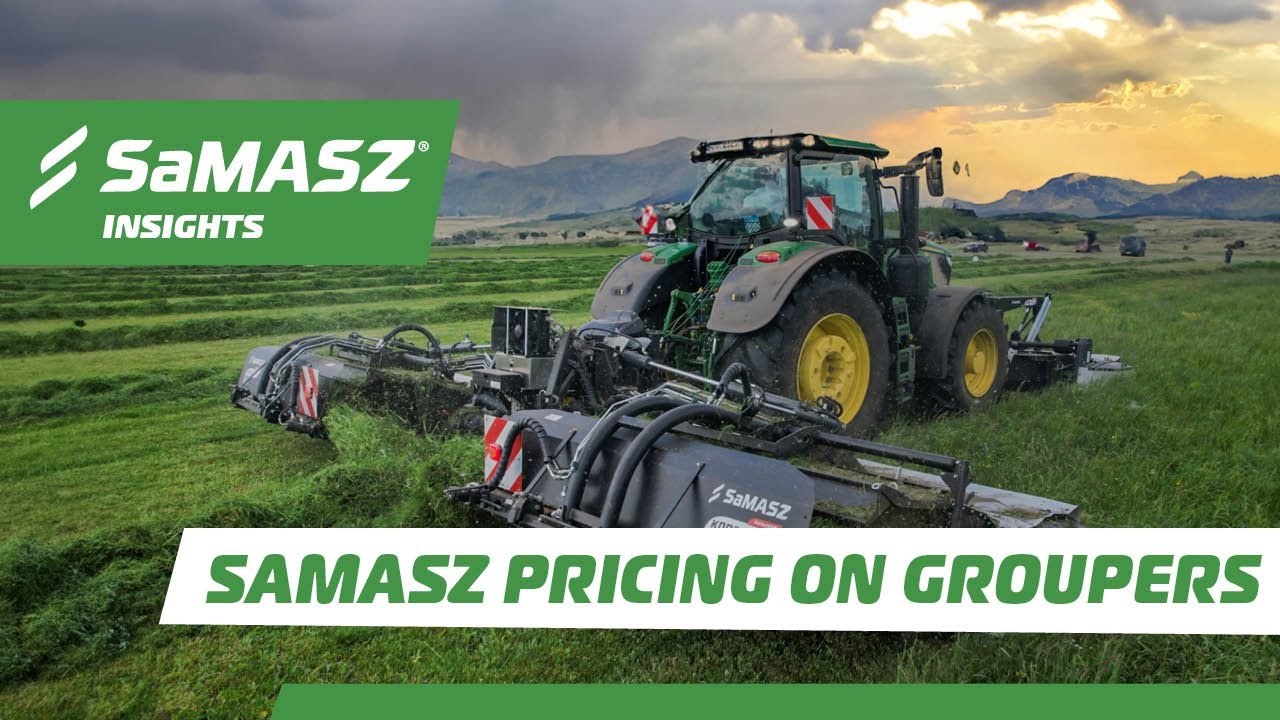 SaMASZ Insights #6 - pricing on Groupers - YouTube