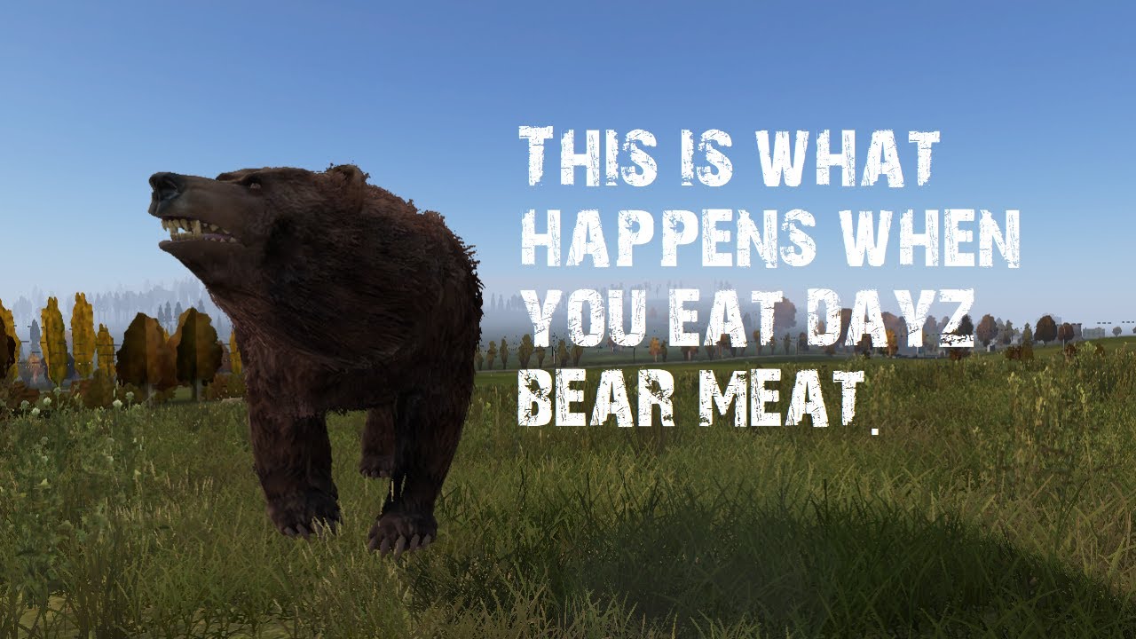 This is what happens when you eat DayZ bear meat! - YouTube