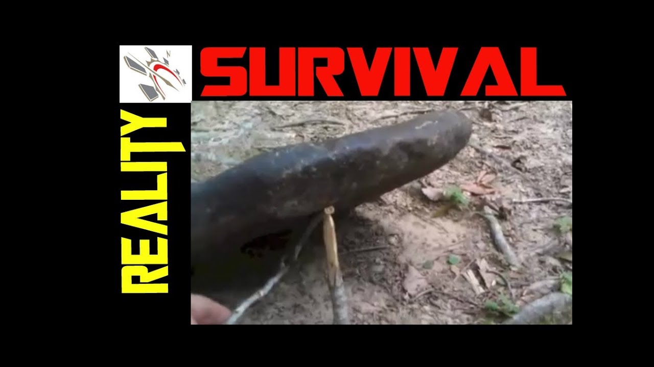 How To Make A Two Stick Dead Fall Trap - YouTube