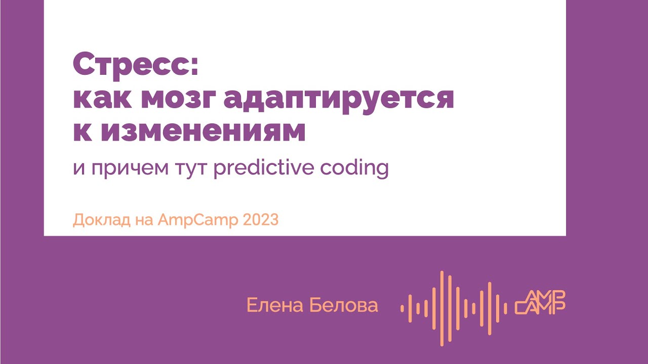 [AmpCamp] Елена Белова – Стресс: как мозг адаптируется к изменениям и ...