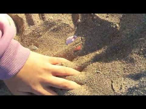 en sevdiğim rozetim💜