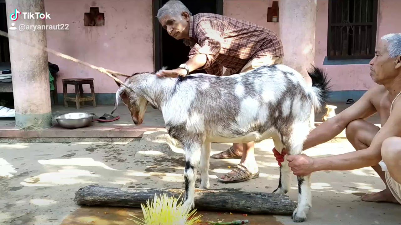 khasi kateko - YouTube