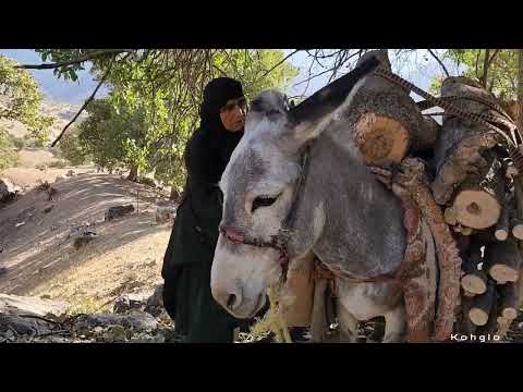 🌿 The Strength of a Rural Mother | Firewood Gathering and Family Life in Iran 🪵🏡