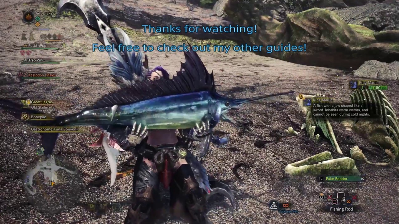 King Marlin, Gastronome Tuna, Great Sushifish | Ancient Forest | MH ...