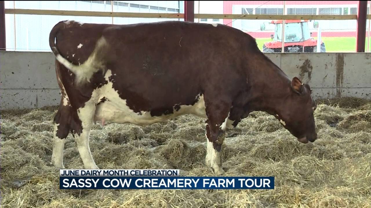 Sassy Cow Creamery Farm - YouTube