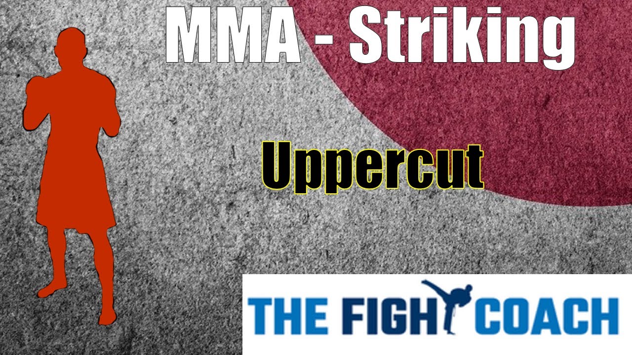 MMA - Striking - Uppercut - YouTube