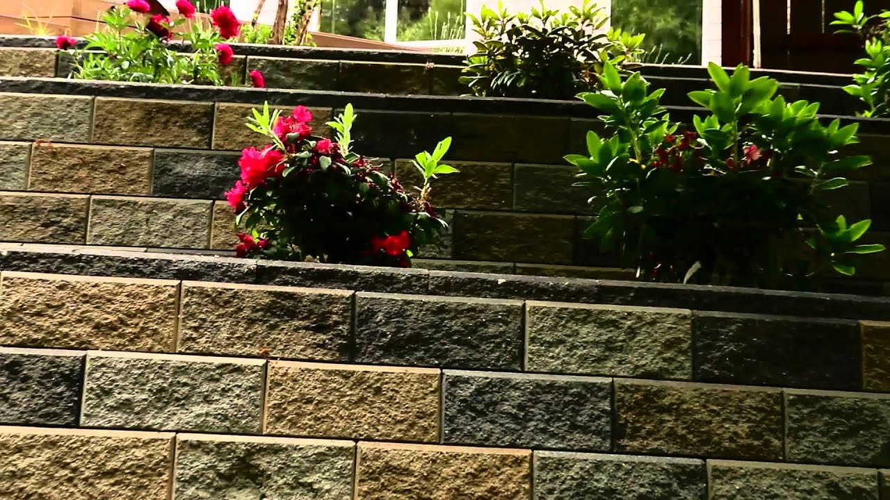 Retaining Wall Blocks Around Trees