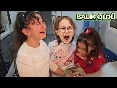 ESMA NIN BALIĞI ÖLDÜ ÇOK AĞLADI BAHAR BANU ALYA ÇOK ÜZÜLDÜ ماما جابت بيبي - جنى مقداد | طيور الجن