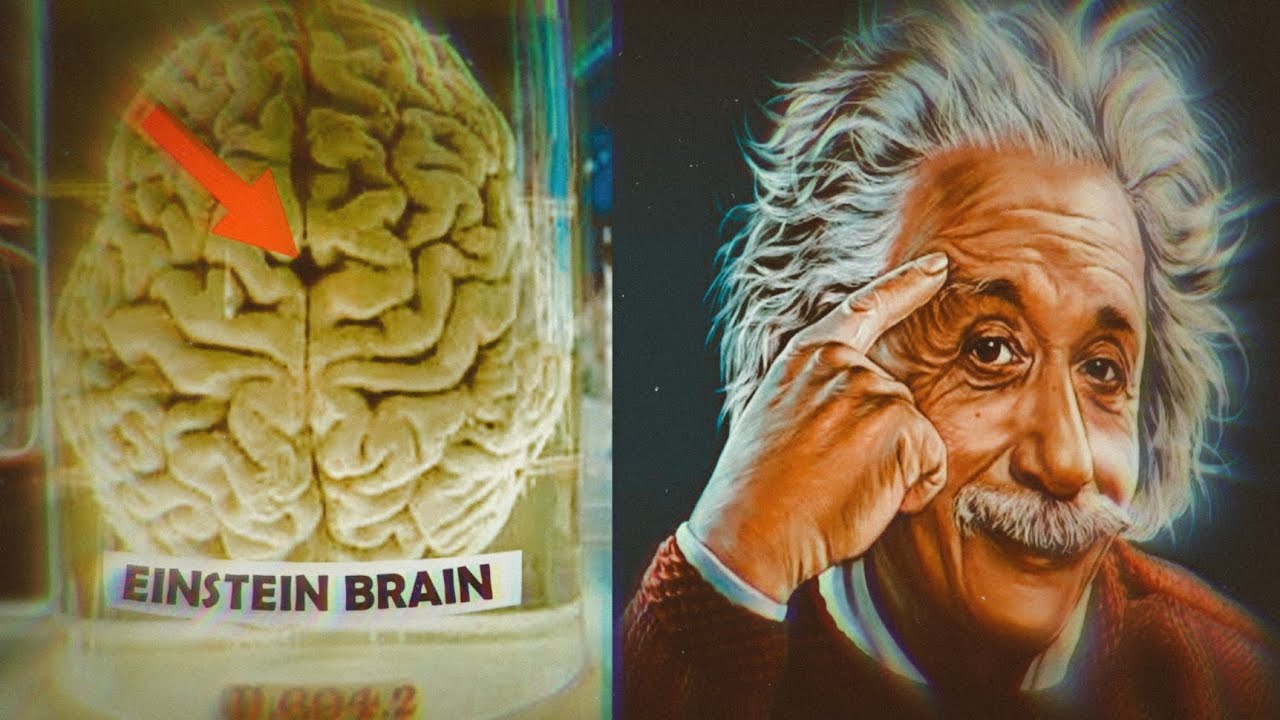 IMPT.FACTS #Albert Einsteinका ब्रेन के अंदर छिपे रहस्य ||Secrets hidden ...