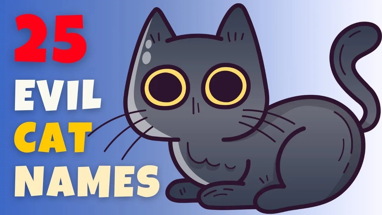 Evil Cat Names Our 25 TOP & BEST Ideas For Girl & Boy - YouTube