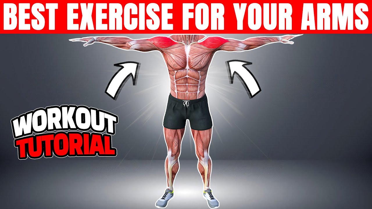 Best exercise for your Arms - YouTube