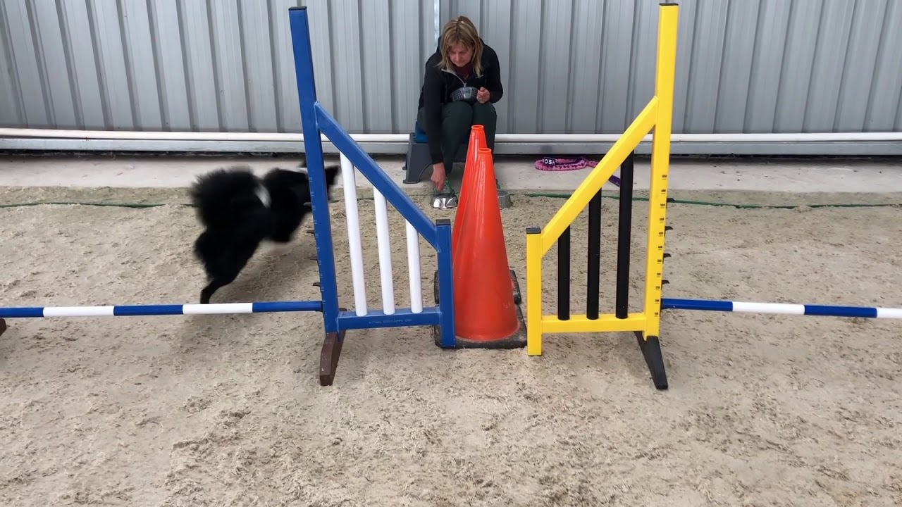 Design By Zest Prada is Posh at Martina & Jana Oct 2019 - Design By ...