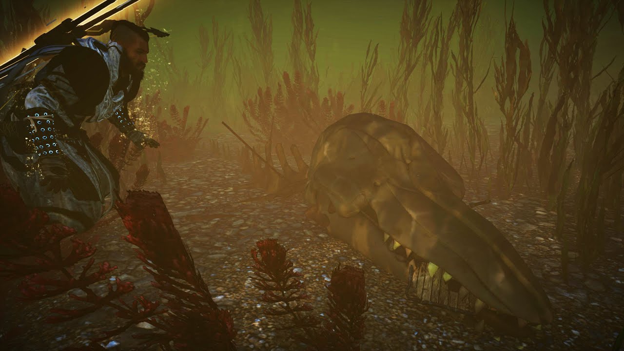 Sea Creature Bones Isle of Skye | AC Valhalla - YouTube