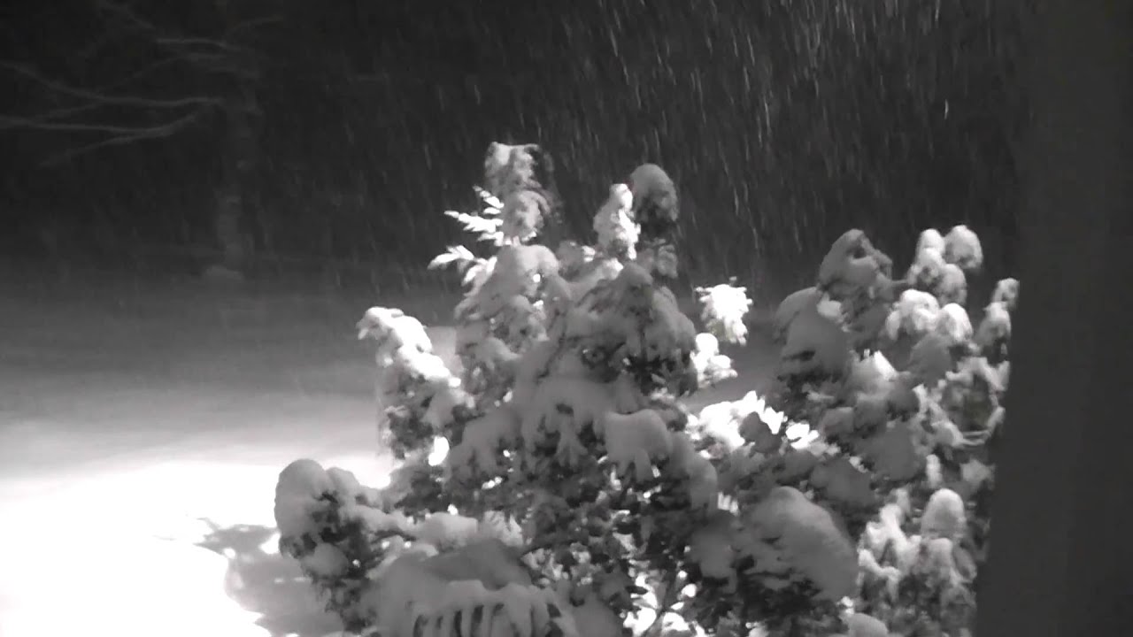 2 - 3 inches of snow an hour #1 - YouTube
