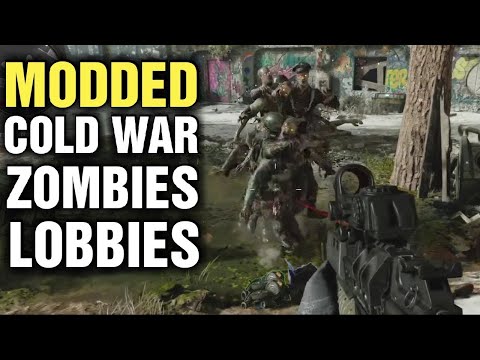 BLACK OPS COLD WAR MODDED Lobbies Zombies + MP (Max Prestige + Max Gun level)
