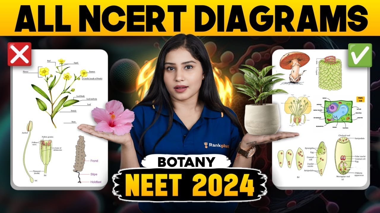 Complete Botany NCERT Diagrams | One Shot | Botany | One Day One ...