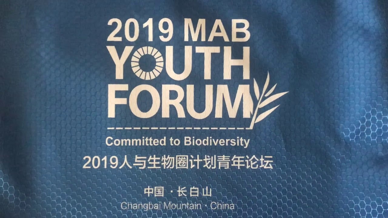First day 2019 MaB Youth Forum / Primer día II Foro de Jóvenes del MaB ...
