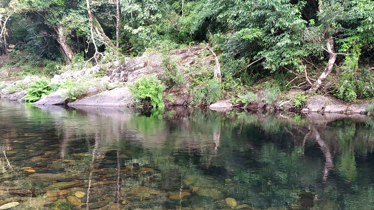 #കുന്തിപ്പുഴ #river kunthi - YouTube