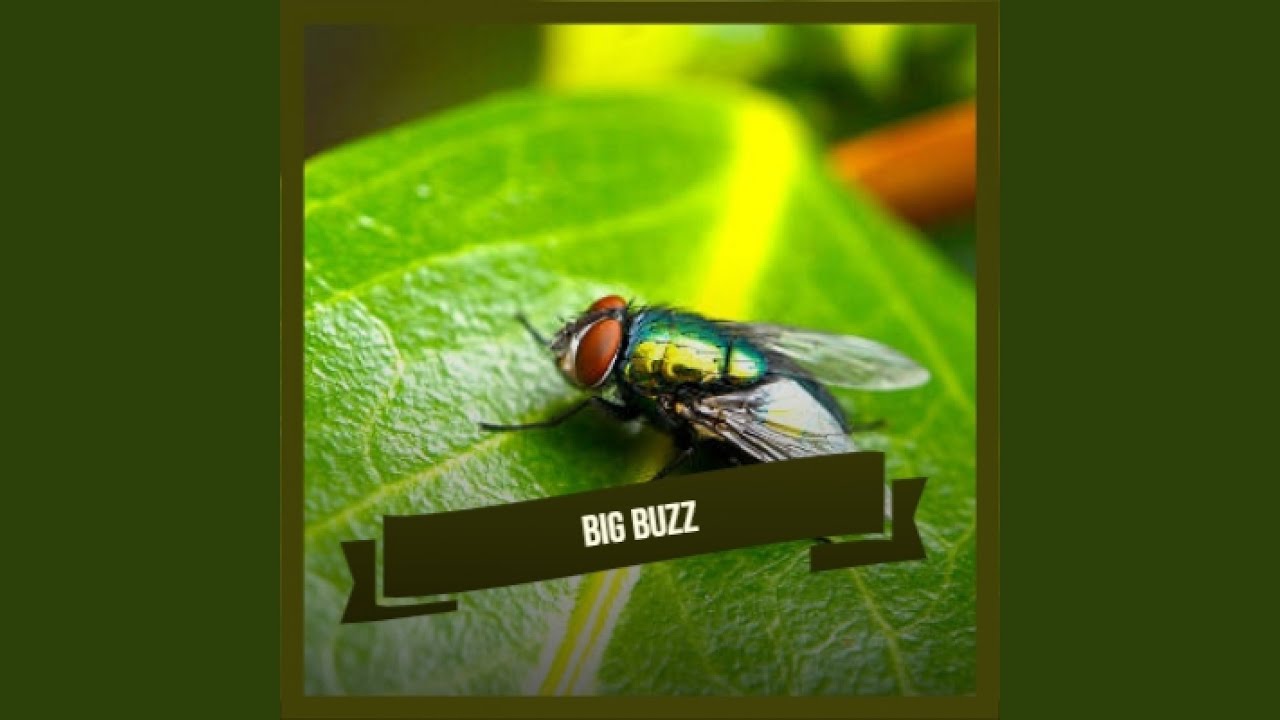 Techno Drone - YouTube Music