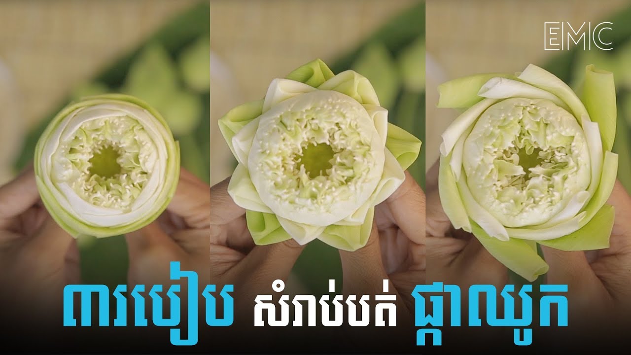 ៣របៀប សំរាប់បត់ផ្កាឈូក | 3 ways to fold a lotus flower - YouTube