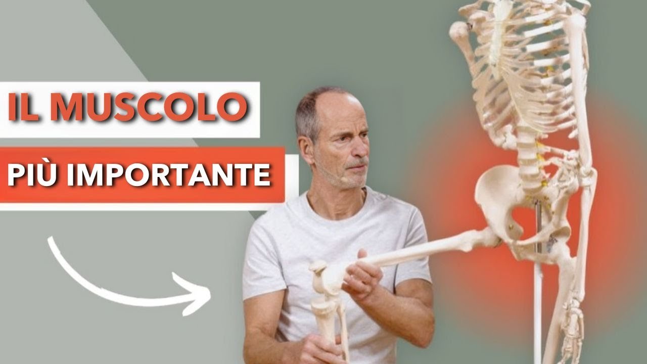 Flessori dell'anca | Il muscolo più importante!🏃‍♂️💥 - YouTube
