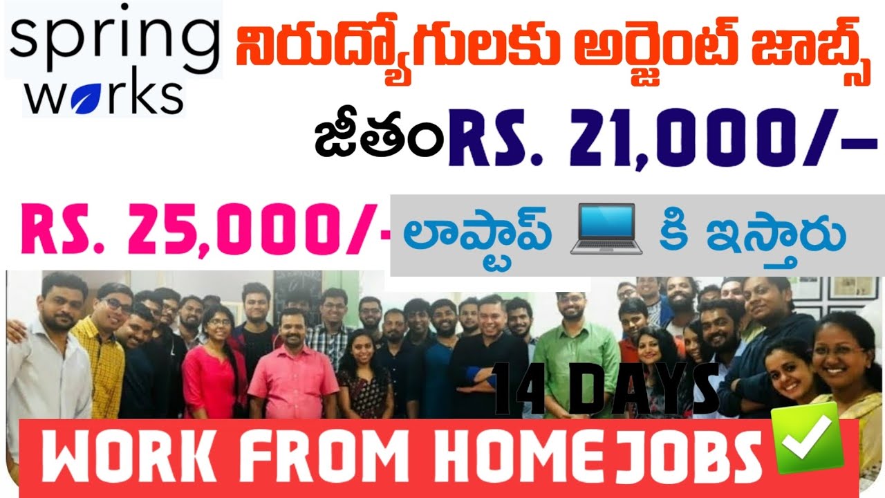 SpringWorks Company job vacancies |Work from home jobs for freshers ...