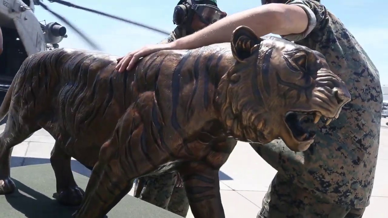 HMH-361 Flying Tigers Mascot Reveal - YouTube