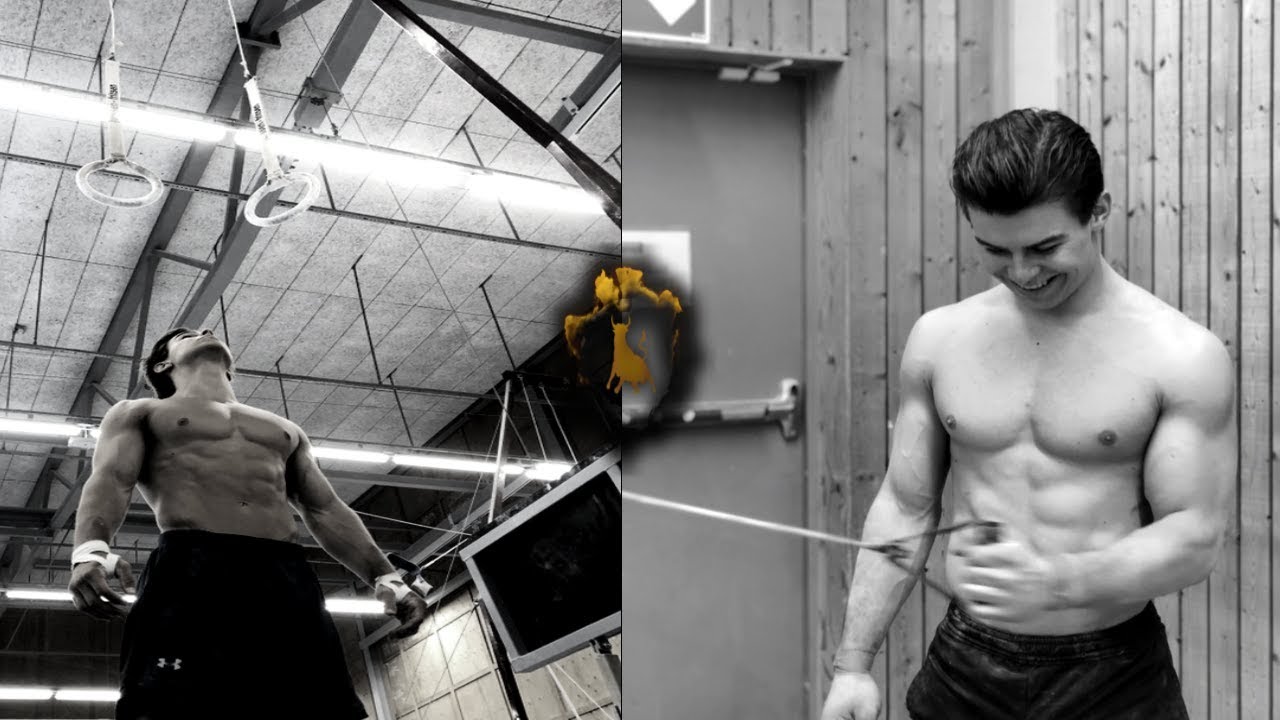 Amazing GYMNASTICS RINGS Workout / Power Champions / William Broman / Taurus Fitpower Muscle ...
