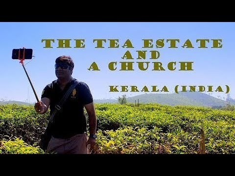 Pattumala tea estate and a Church in front | Kerala, India - YouTube