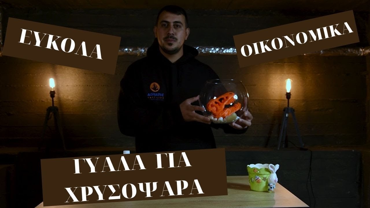 Γιατί πεθαίνουν τα χρυσόψαρα ! Χρυσόψαρα σε γυάλα ! - YouTube