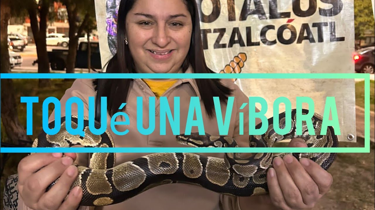 Viaje Expréss Día #1 Toqué una víbora - YouTube