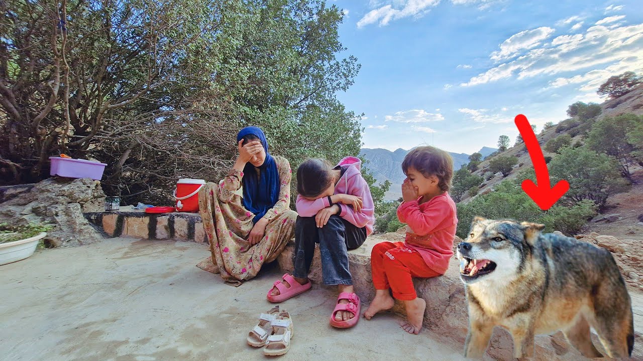 Suffering in the Mountains: Nomadic Girls See Wounded Shepherd - YouTube