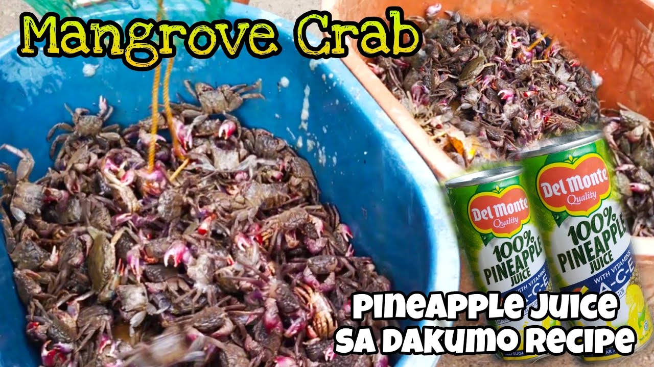 Dalawang Banyerang Mangrove Crab, Night hunting | Sweet and Spicy ...