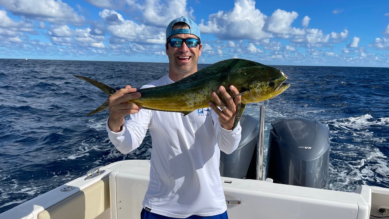 Dolphin Catch Clean and Cook Unique Recipe Jupiter, Fl - YouTube