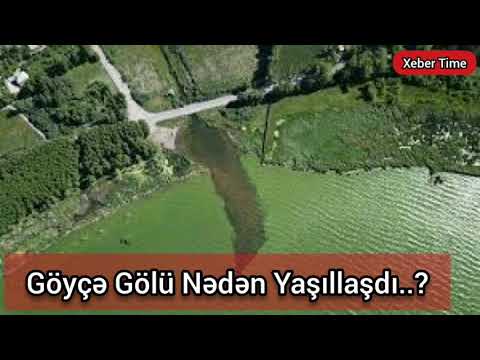 Göyçə Gölü Nədən Yaşıllaşdı? | Xeber Time