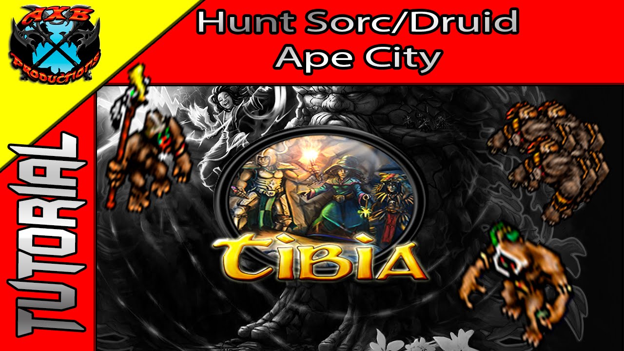 Hunt Ape City Sorcerer/Druid Lvl 30+ /Runes Exp 100 K/H (Loot,Task) - # ...
