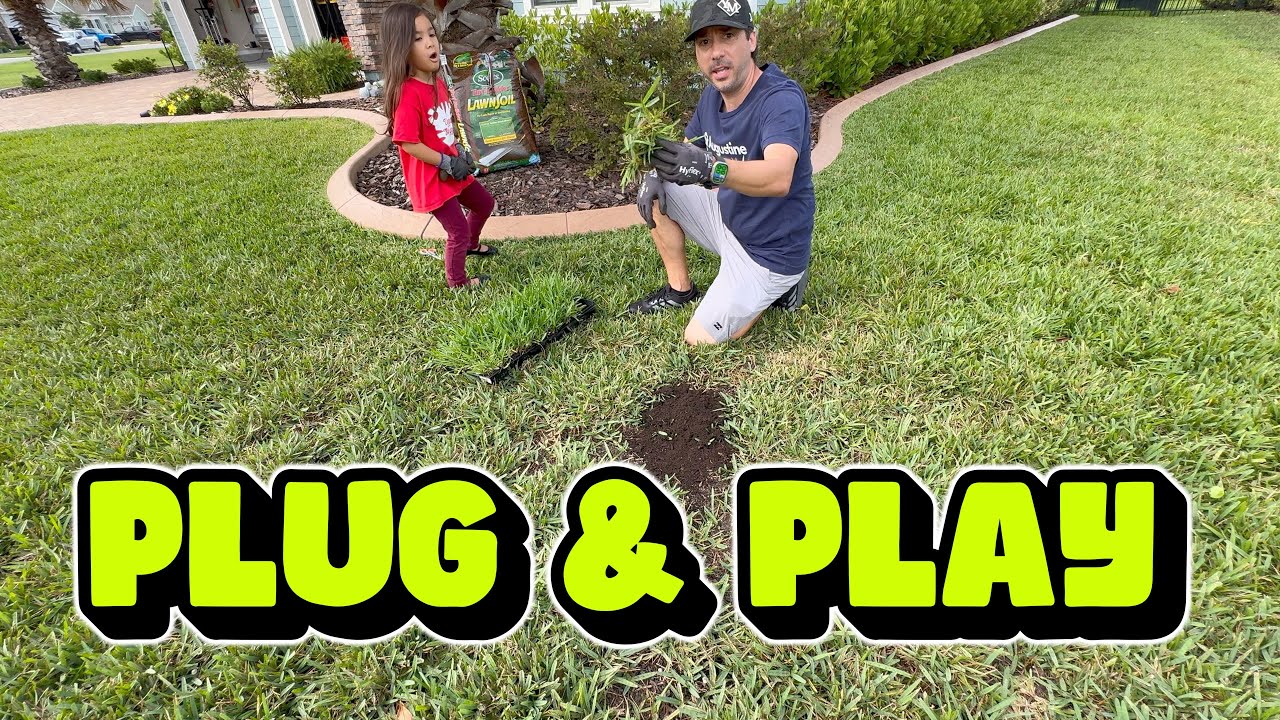 Fill In Big Dead Spots In The Lawn - Sod Pods Grass Plugs - YouTube