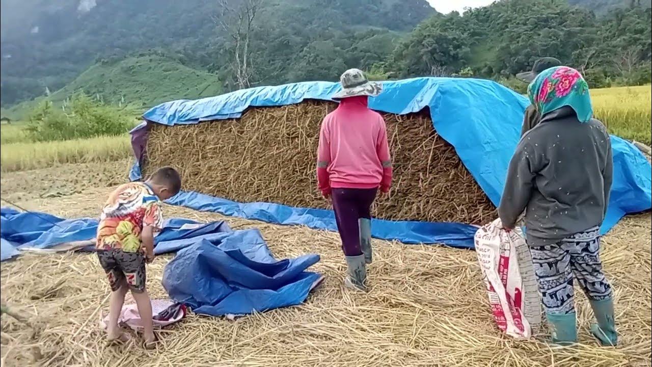 liaj nkos dhau lawm ev ib hnub ma sab kawg kuj tag kiag lawm thiab - YouTube