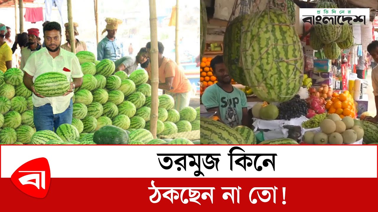 তরমুজ কিনে ঠকছেন না তো ! | Watermelon | Price Hike | Protidiner ...