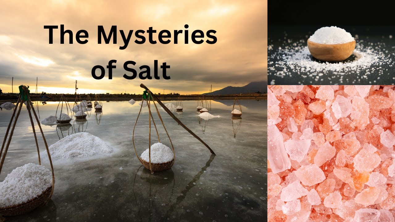 The Salty Truth Unravelling the Mysteries of Salt - YouTube