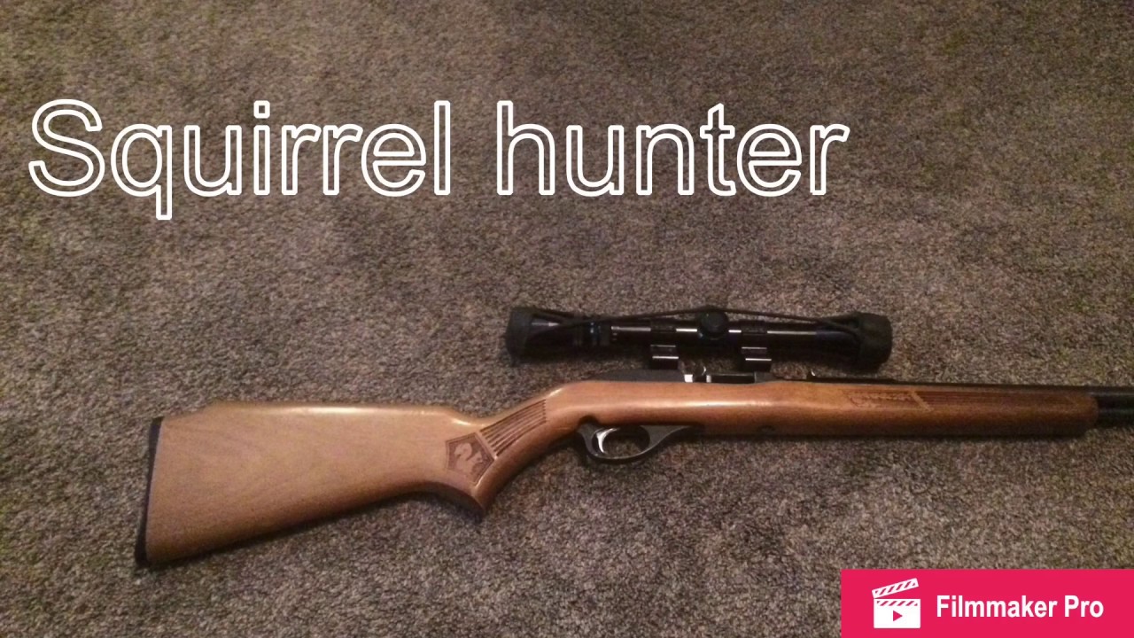 The squirrel rifle review!! - YouTube
