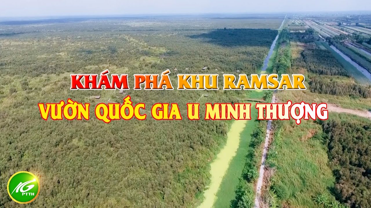 Khám phá khu Ramsar Vườn Quốc gia U Minh Thượng | THKG - YouTube