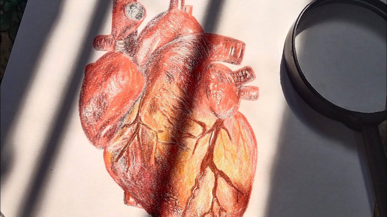 Drawing of Heart ️ With Pencil Colour 🇮🇳😱| Dil ka chitra . - YouTube