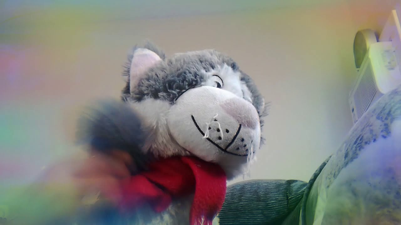 Ladybug and Floof Floof - YouTube