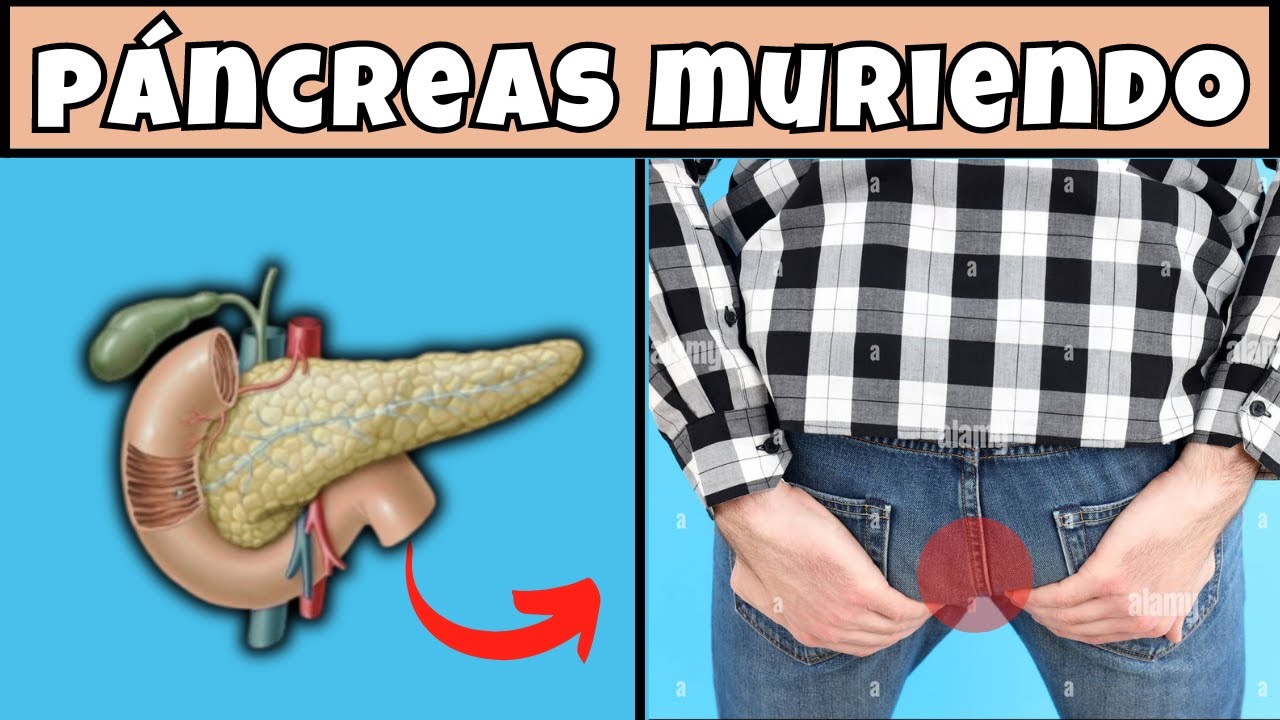 SEÑALES de la Enfermedad del PÁNCREAS | Tu cuerpo GRITA sobre Problemas ...