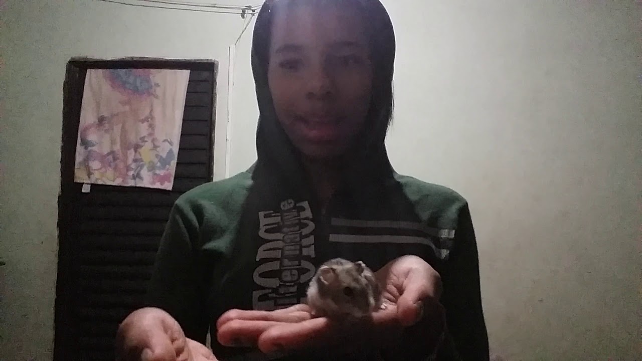 A THALITA MOSTRAMDO ALUNA BRIN CAMFO 😇😇😇 - YouTube