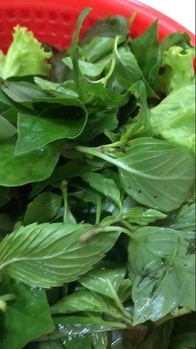 #shorts rau xanh ngon | dung an suong | dung an suong travel - YouTube