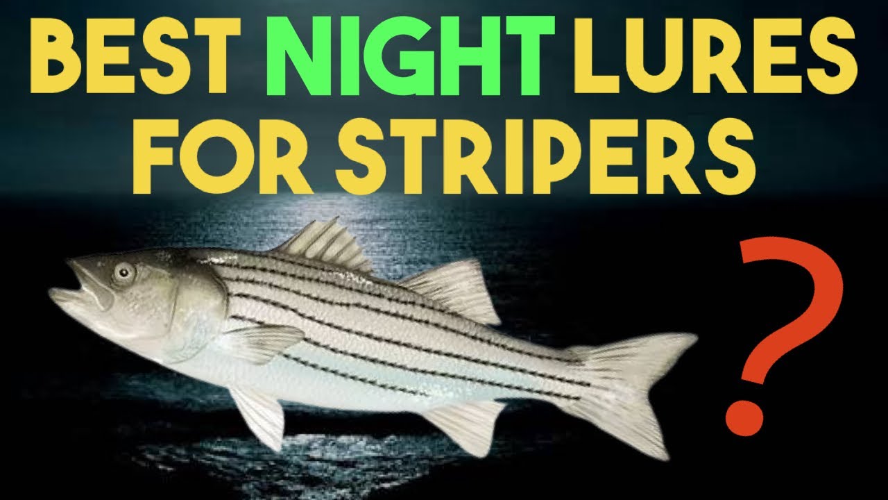 Best Night Lures for Stripers (My Top 3 Ranked) - YouTube