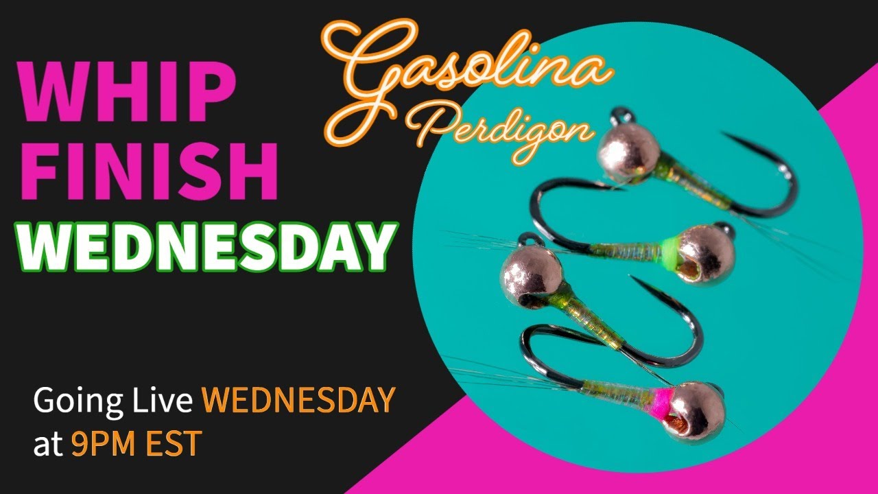 How To Fly Tying: Gasolina Perdigon---Live on Whip Finish Wednesday ...