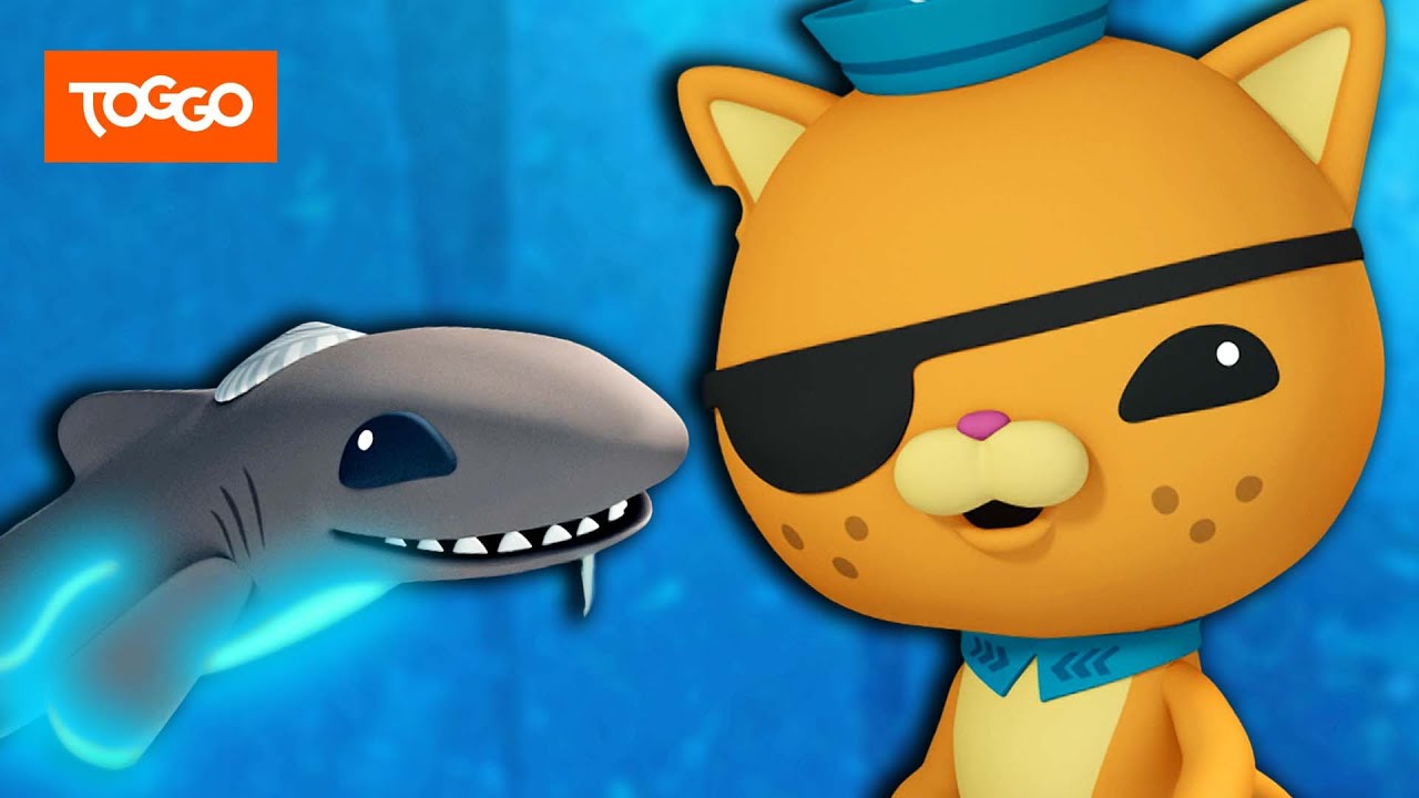 Die Oktonauten und der Zwerg-Laternenhai | Ganze Folge Deutsch | TOGGO ...